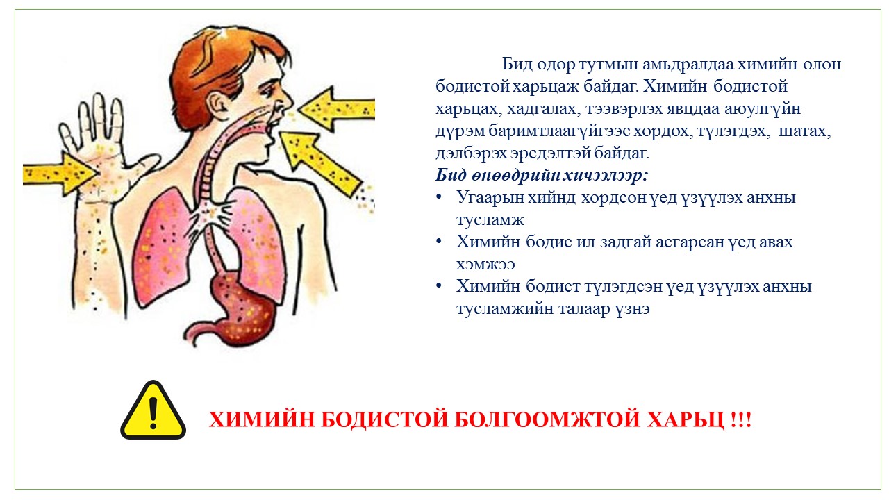 Мэдлээ Цахим контент